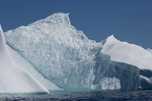 The Iceberg and Joe Pilgrim – Wandering Under the Stars