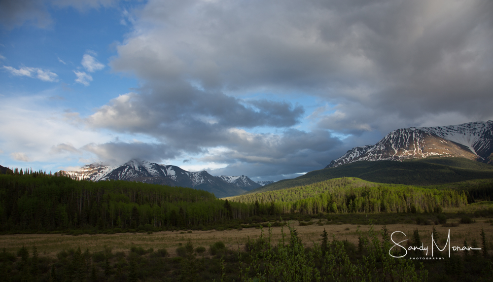 Cassiar Highway Adventures – Wandering Under the Stars