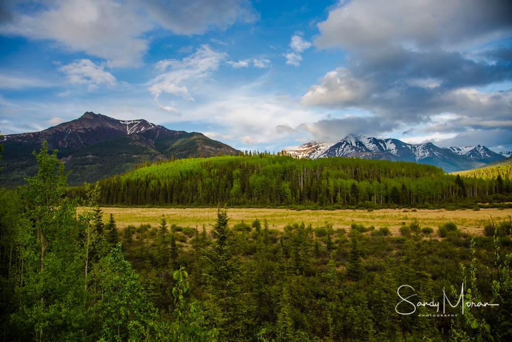 Cassiar Highway Adventures – Wandering Under the Stars