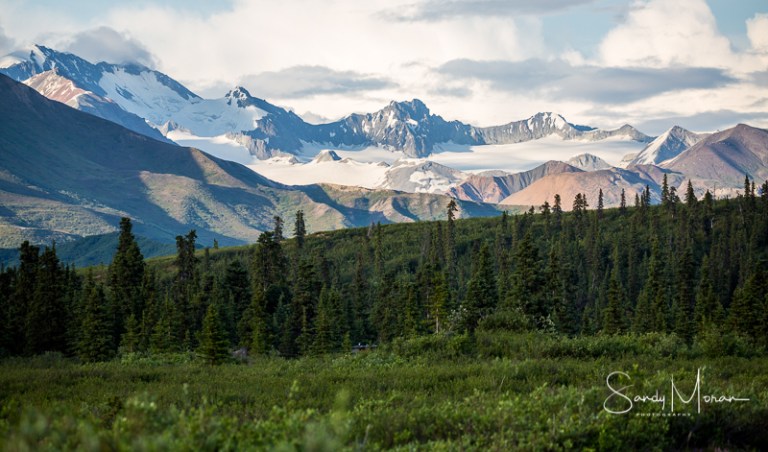 My Alaskan Trip Favorites – Wandering Under the Stars