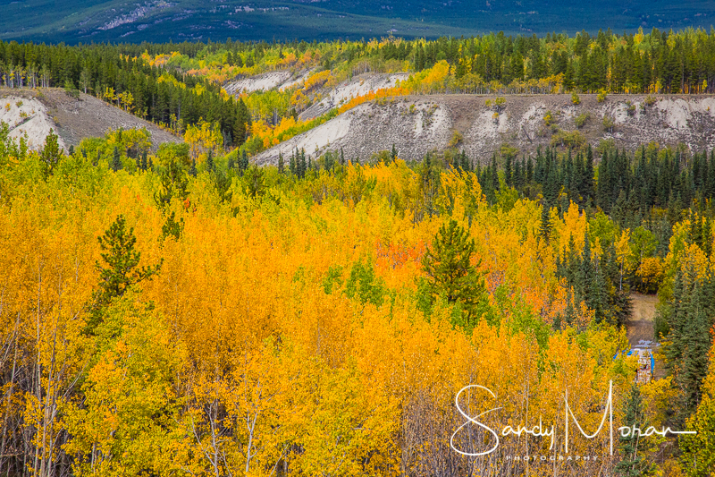 Our Return to Haines – Wandering Under the Stars