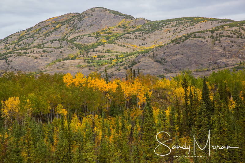 Our Return to Haines – Wandering Under the Stars