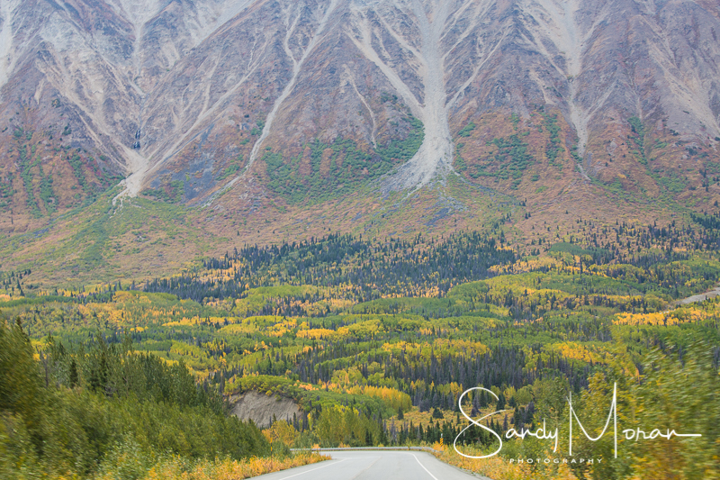 Our Return to Haines – Wandering Under the Stars