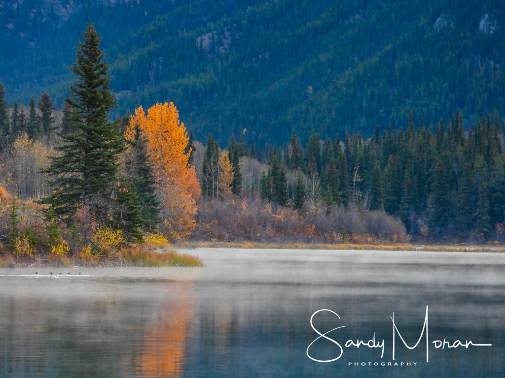 The Beautiful Cassiar Highway – Wandering Under the Stars