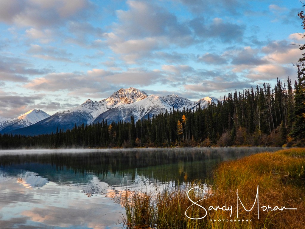 The Beautiful Cassiar Highway – Wandering Under the Stars