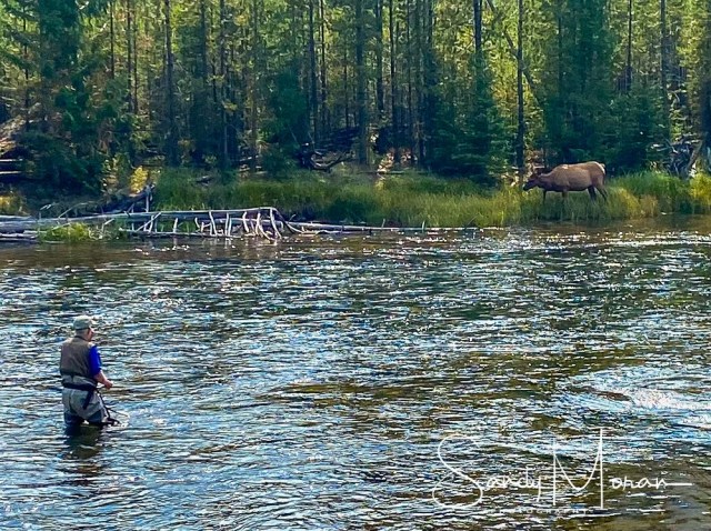 The Magical Madison River – Wandering Under the Stars