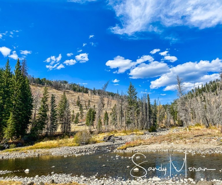 Lewis Lake to Slough Creek – Wandering Under the Stars